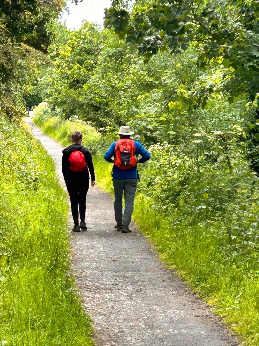 National Famine Way Commemorative Walk 2024 | Ireland.ie