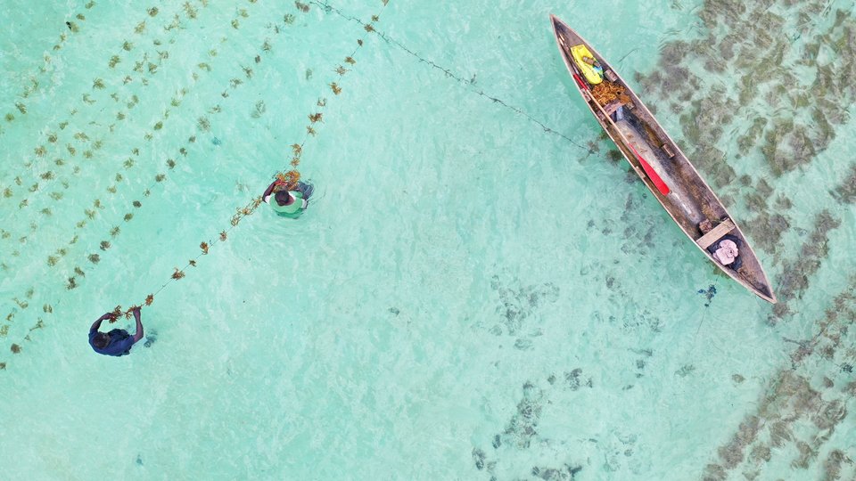 Small Island developing states sids | Irish Aid | Ireland.ie | Ireland.ie