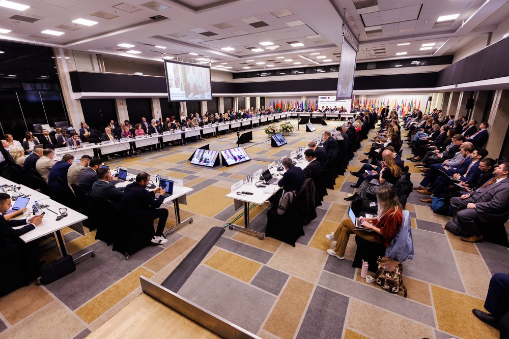 Statement by Ireland at the Opening Session of the 2024 Warsaw Human ...