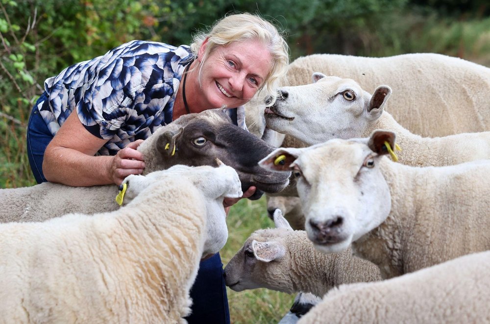 Ailbhe Gerrard And Brookfield Farm | Nature And Sustainability ...
