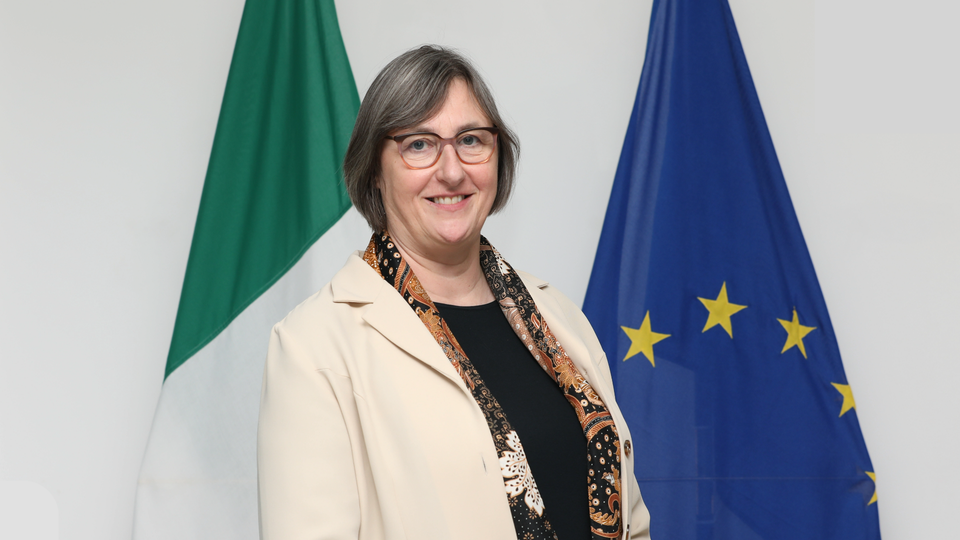Ambassador At Embassy Of Ireland In Malaysia Irelandie Irelandie