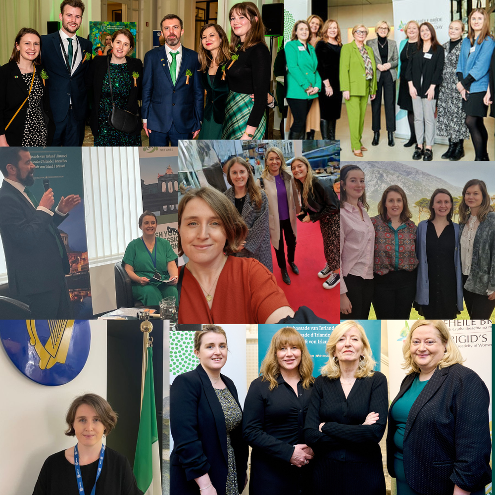 Farewell to our Deputy Head of Mission Erica! | Ireland.ie