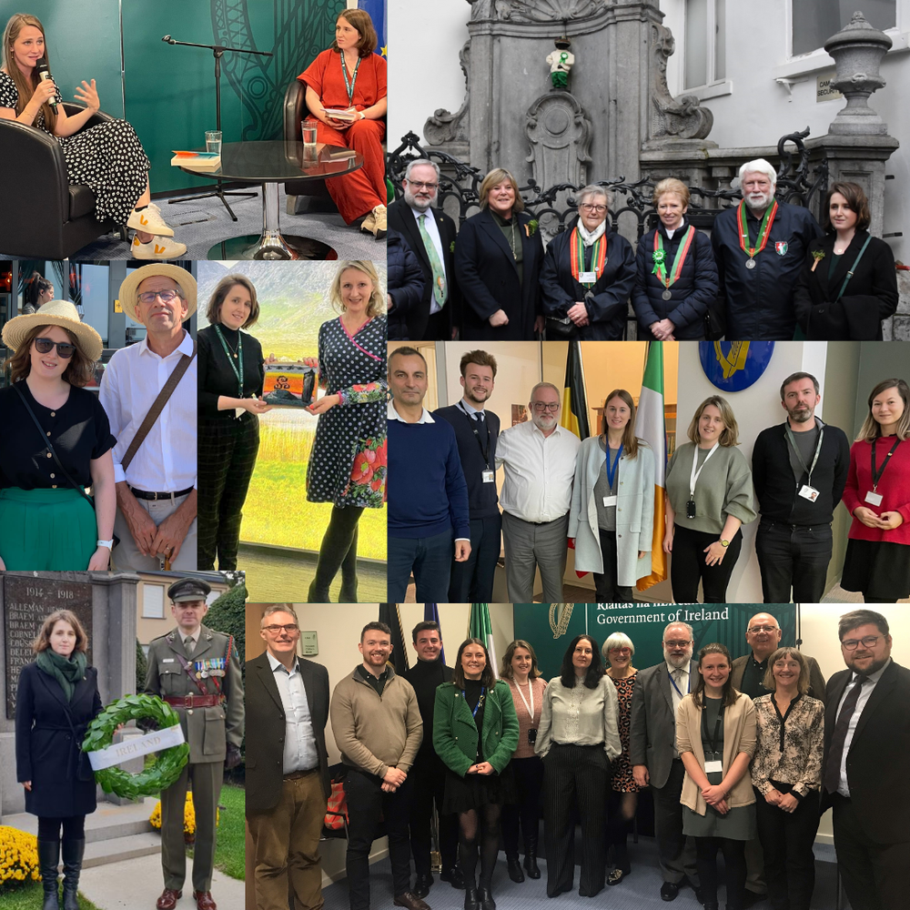 Farewell to our Deputy Head of Mission Erica! | Ireland.ie