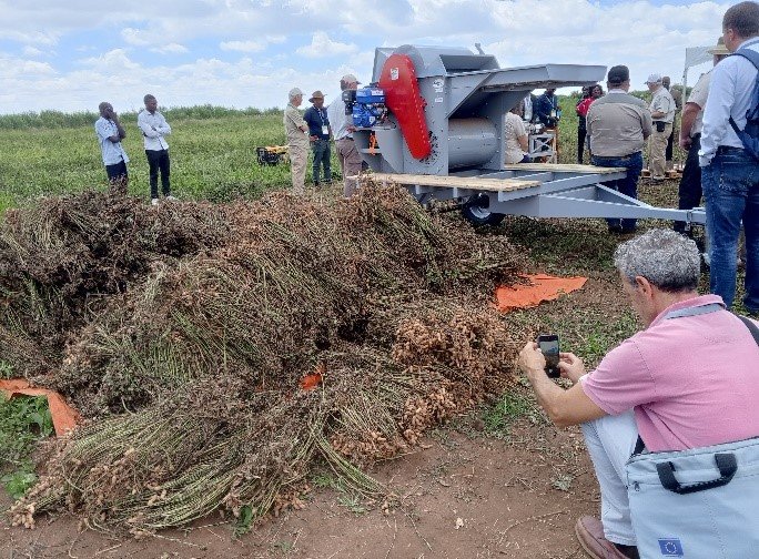 Making Malawi the Groundnut Capital of Africa | Ireland.ie