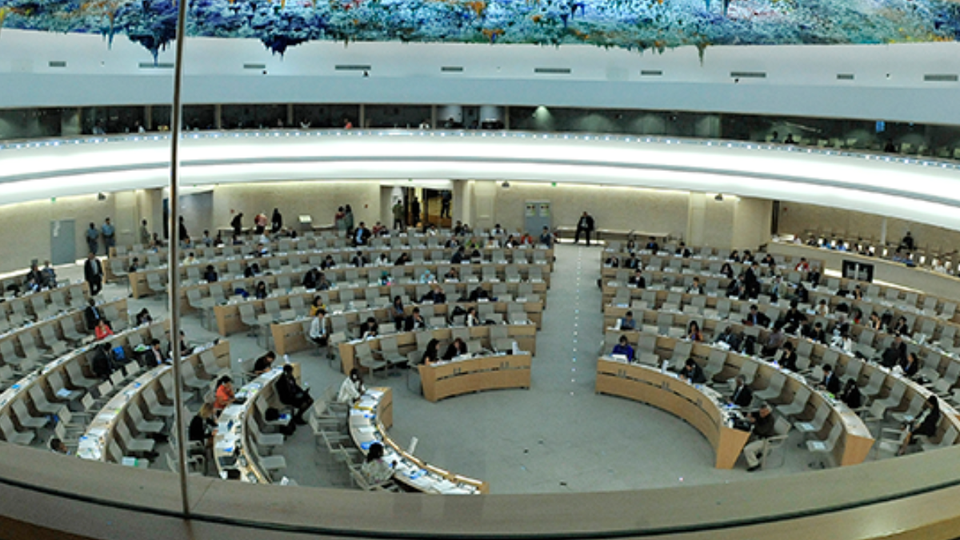 Human rights | Permanent Mission of Ireland to the United Nations ...