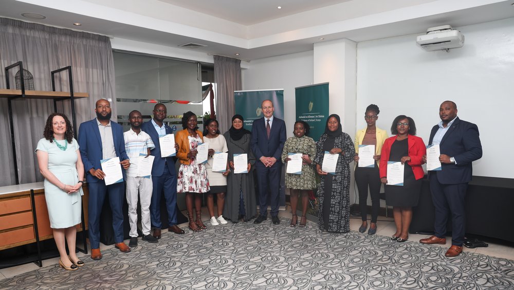 The Ireland Fellows Programme 2026-2027 is open | Ireland.ie