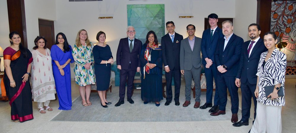 Embassy of Ireland in India launches The Ireland-India Affinity Diaspora Network | Ireland.ie