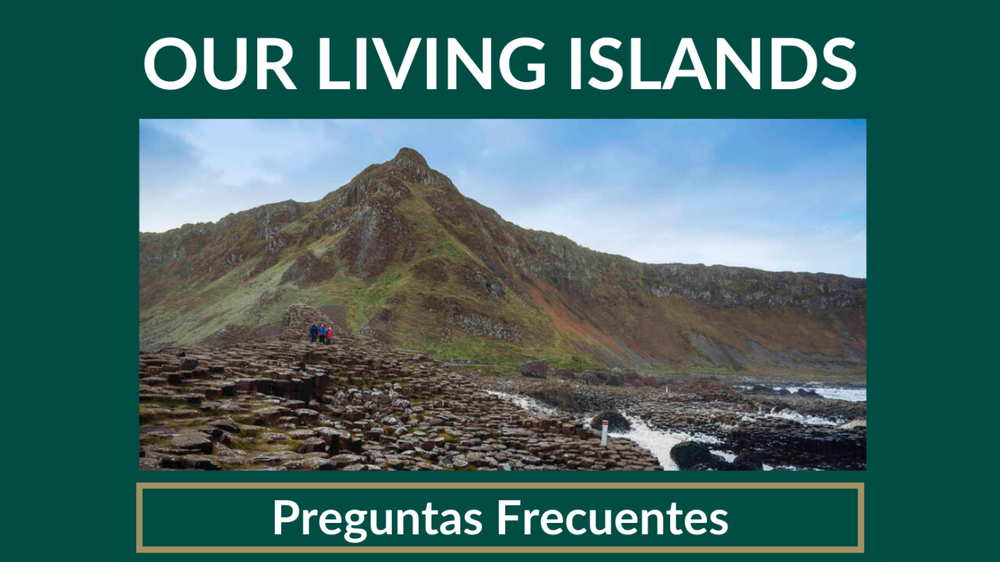 News and Events | Embassy of Ireland, Chile | Ireland.ie | Ireland.ie