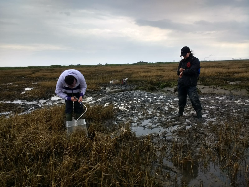 Berlin Science Week - Irish Scientists in Germany - Isabelle Delamer ...