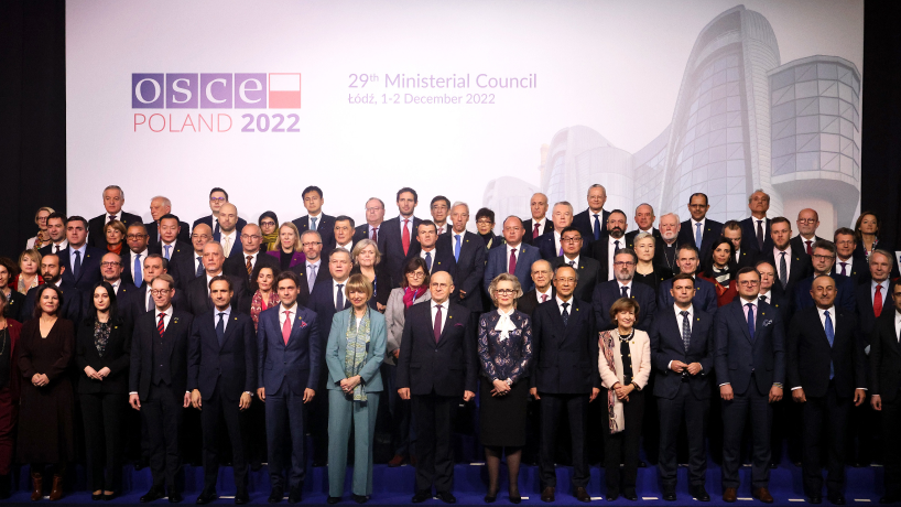 Structure Of The OSCE | Permanent Mission Of Ireland To OSCE | Ireland ...