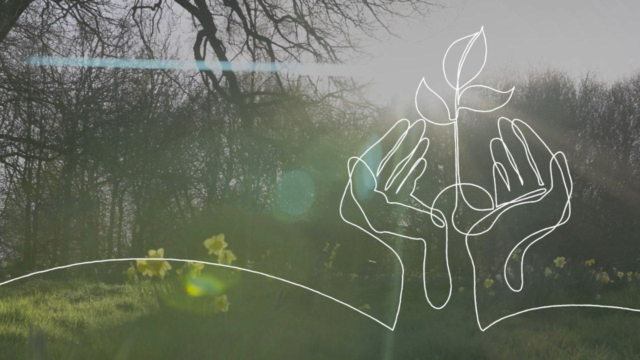 St Brigid's Day | Ireland.ie | Ireland.ie