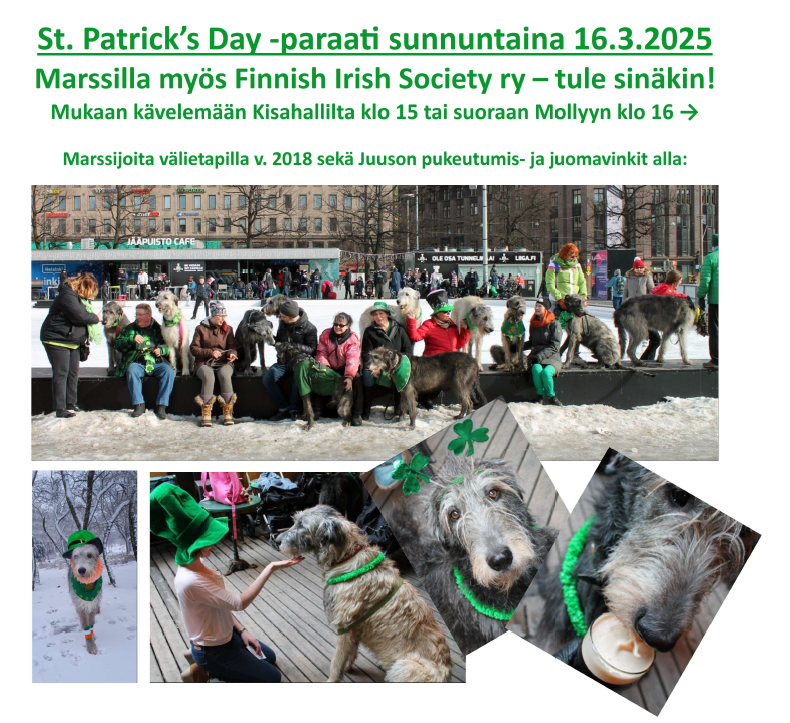 2025 St Patrick’s Day Events in Finland | Ireland.ie