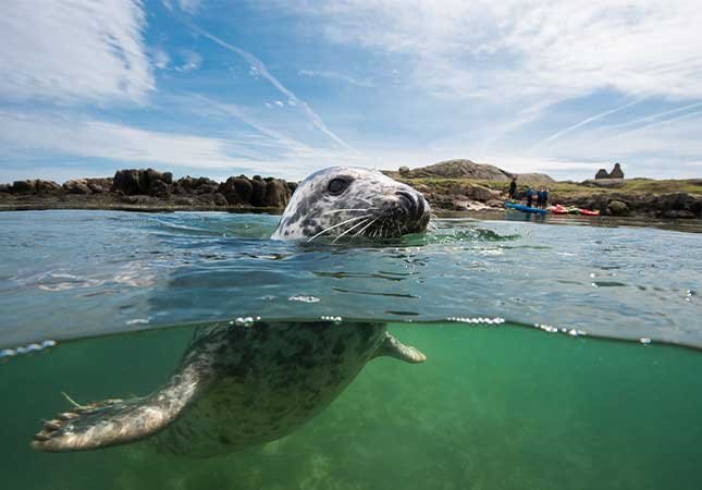 UNESCO Biospheres | Permanent Representation To The OECD And UNESCO ...