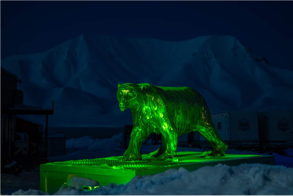 St. Patrick's Day celebrations in Norway | Ireland.ie