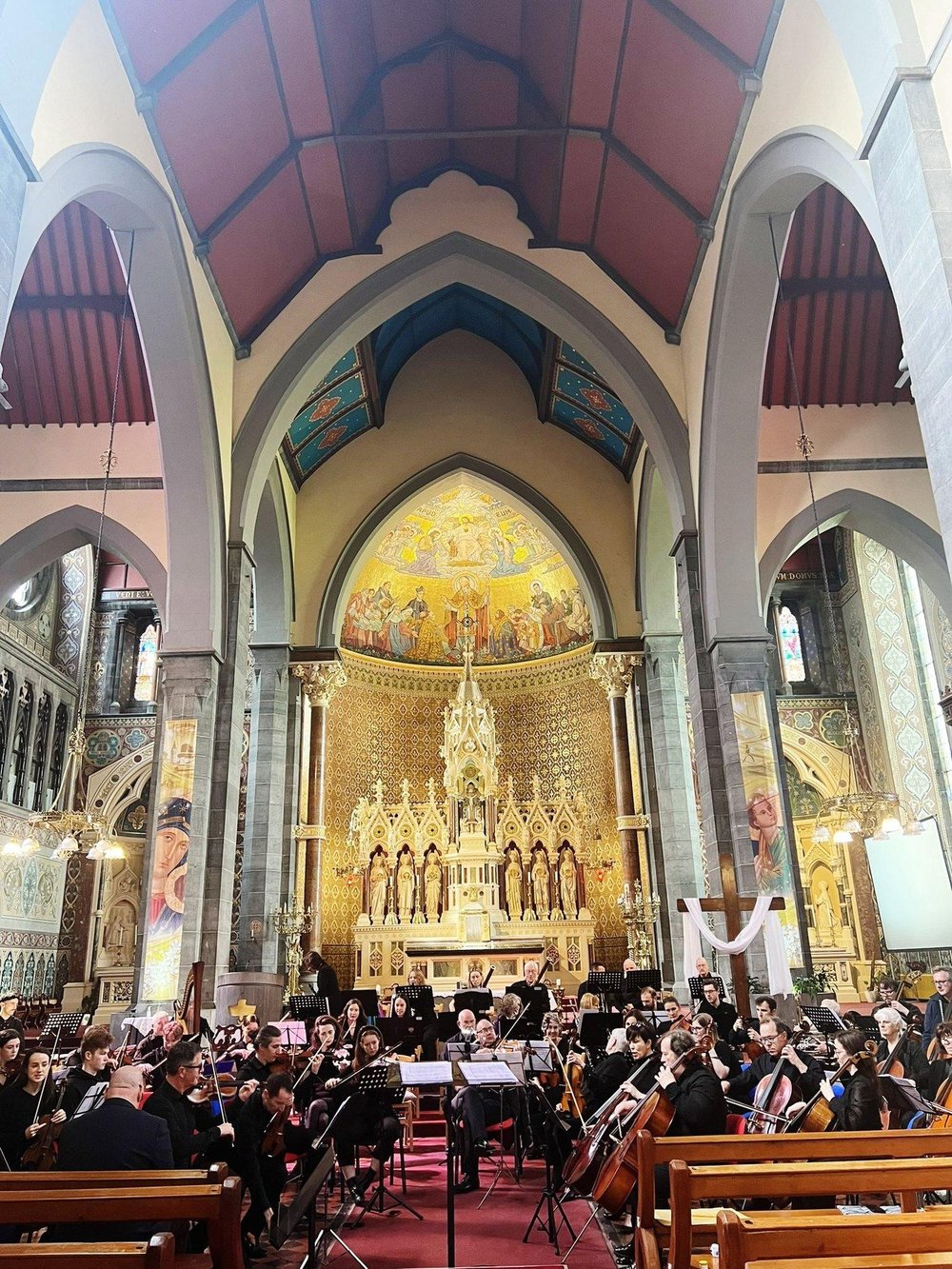 Irish Doctors Orchestra: How Music Is Helping Care For The Carers In ...