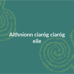 11 seanfhocail (proverbs) that unlock timeless wisdom through the Irish ...