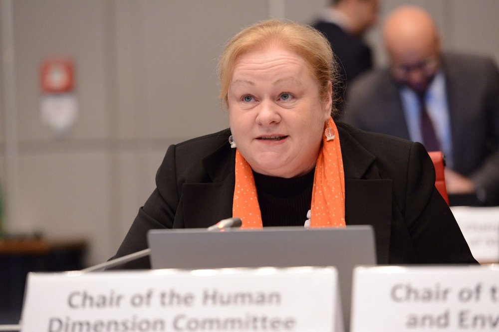 Work of the OSCE Human Dimension Committee in 2024 - Presentation by ...
