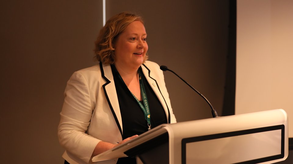 Representative To The PSC | Permanent Representation Of Ireland To The ...