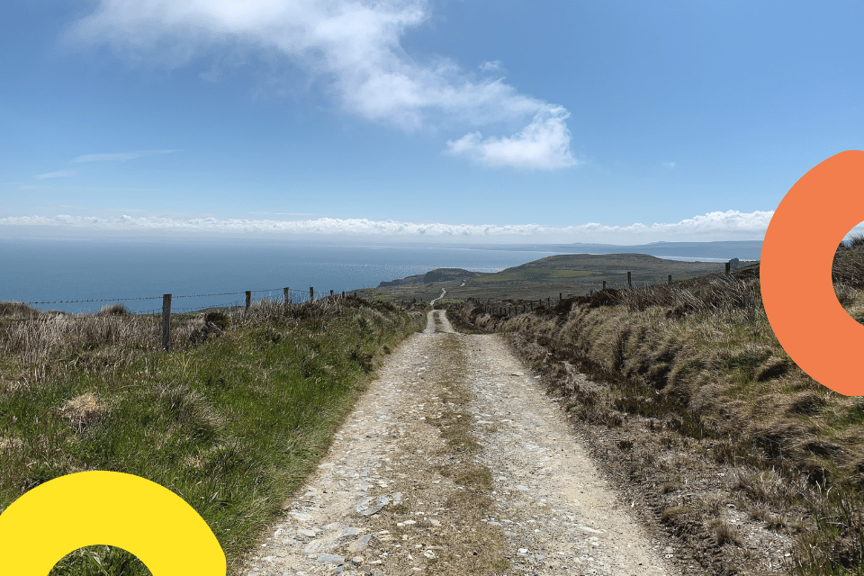 Live & Work in Ireland with the Working Holiday Authorisation (WHA ...